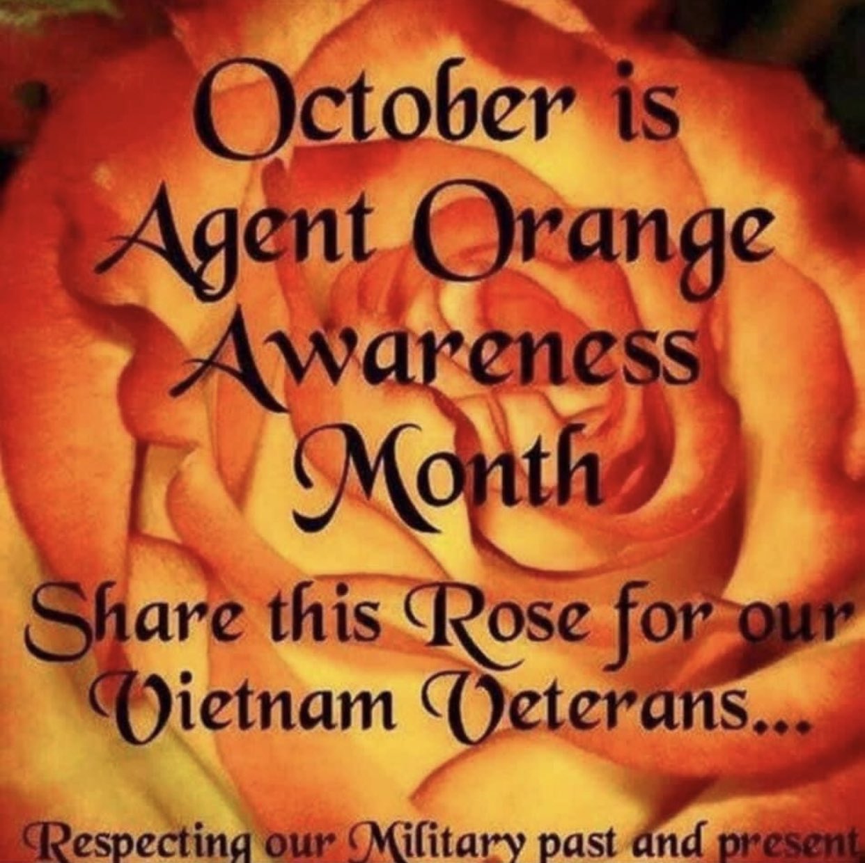 October: Agent Orange Awareness Month – Remembering the Legacy ...